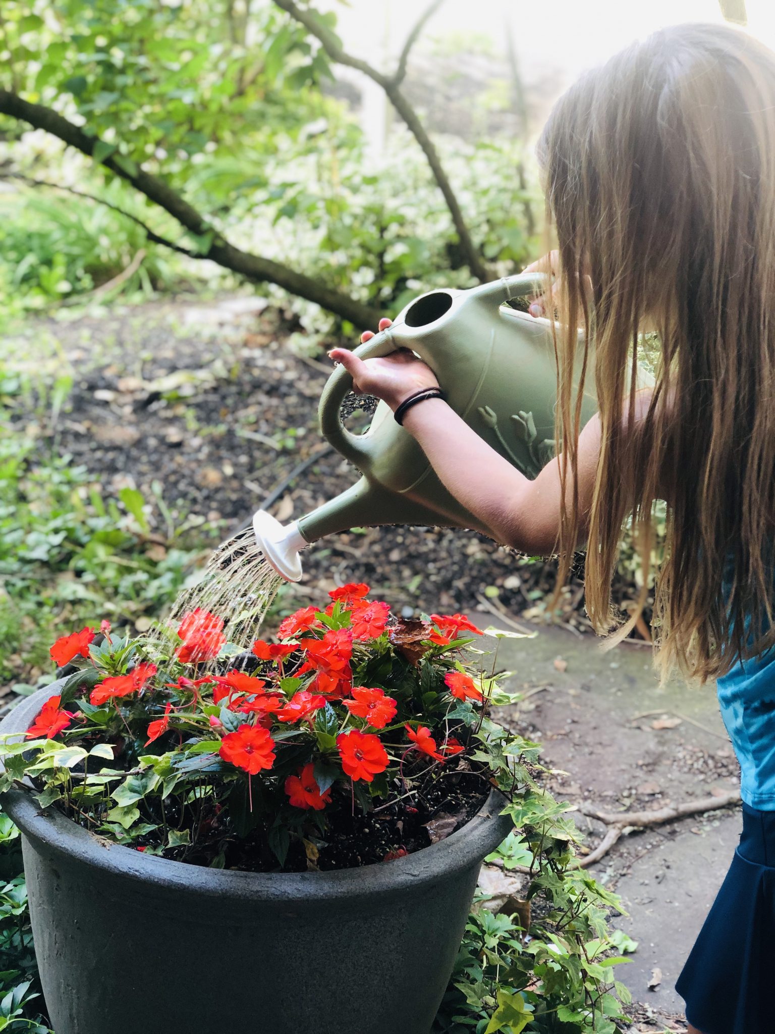 Spring-Themed Homeschool Copywork (Free Printable) - Our Life Homeschooling