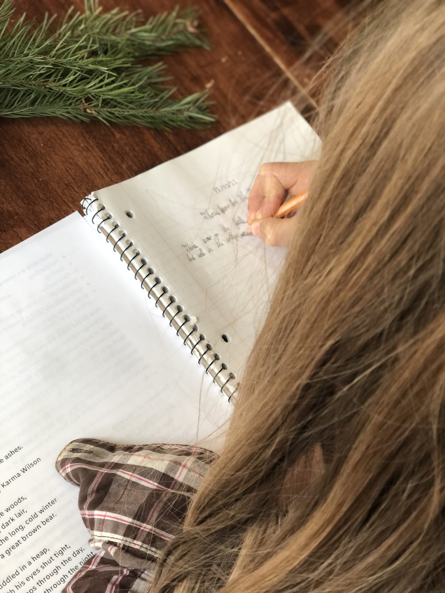 Winter Themed Copywork (FREE Printable) - Our Life Homeschooling