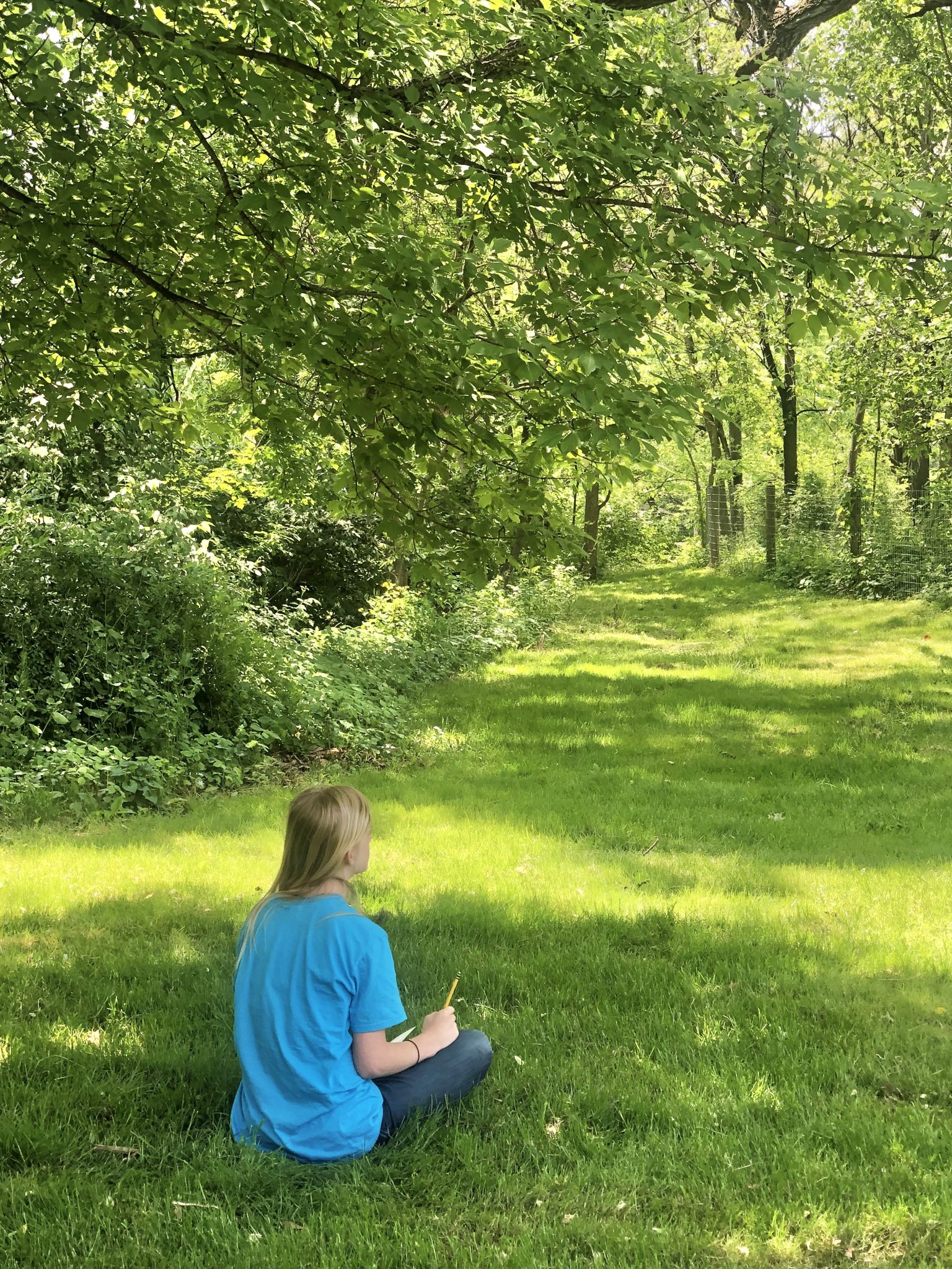 50 Life Skills That Should Be Taught At Home - Our Life Homeschooling