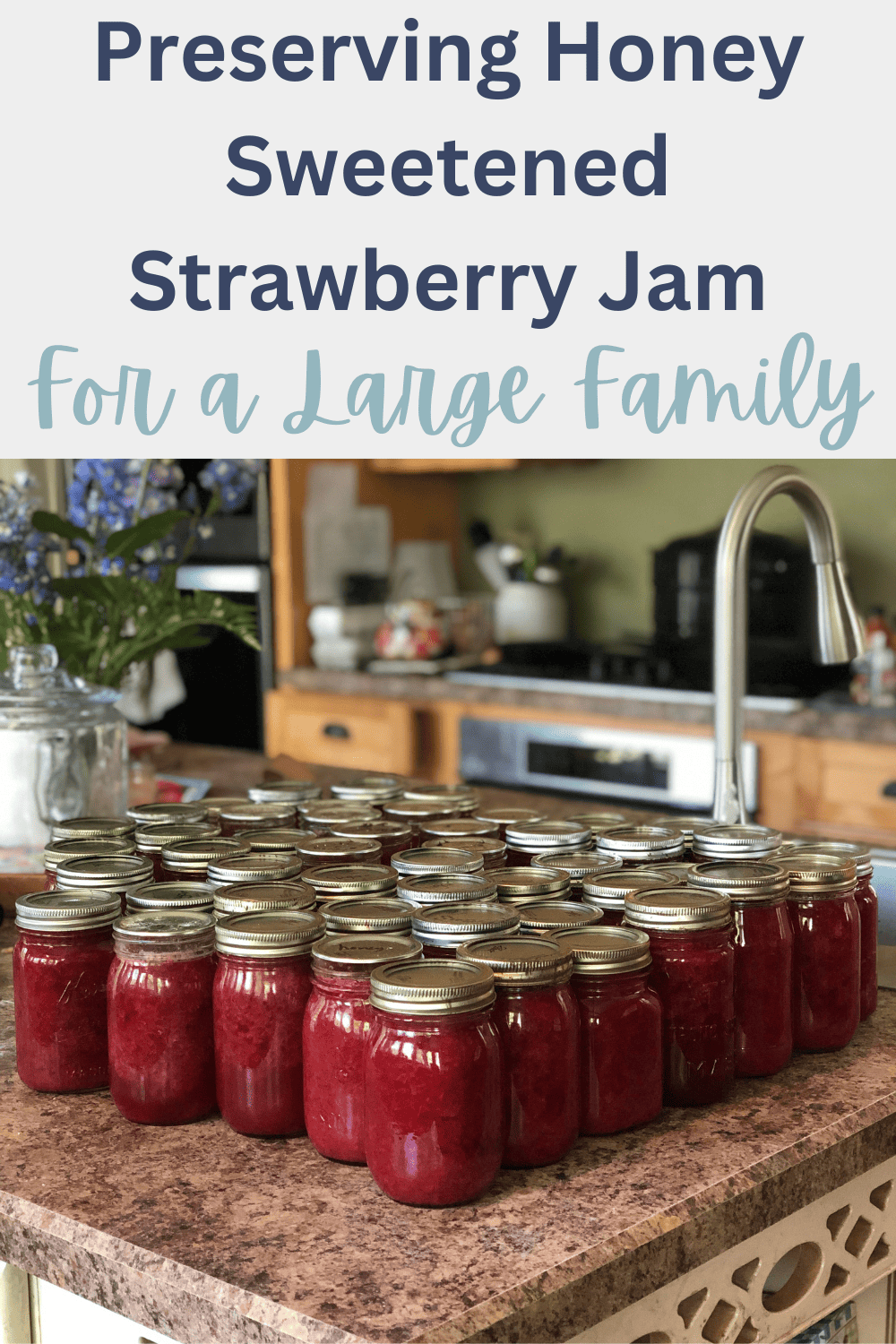 Easy Honey Strawberry Jam Recipe for a Large Family - Our Life ...