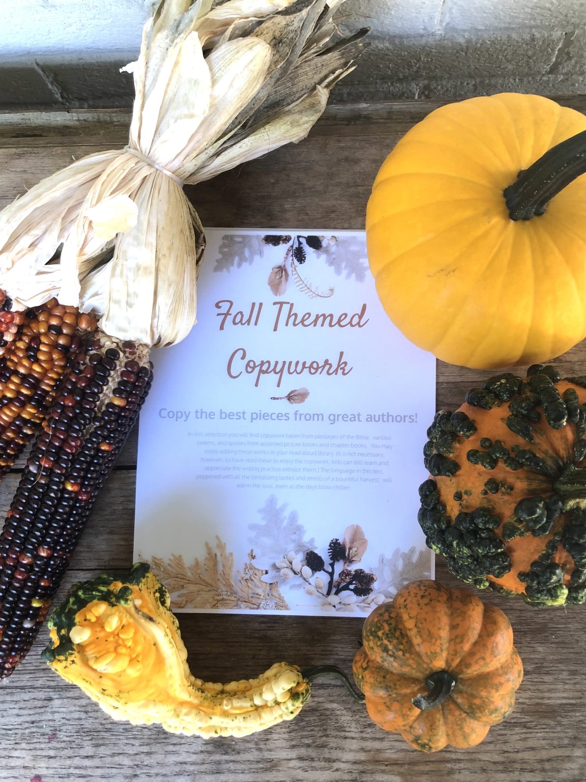 Fall-Themed Homeschool Copywork (Free Printable) - Our Life Homeschooling