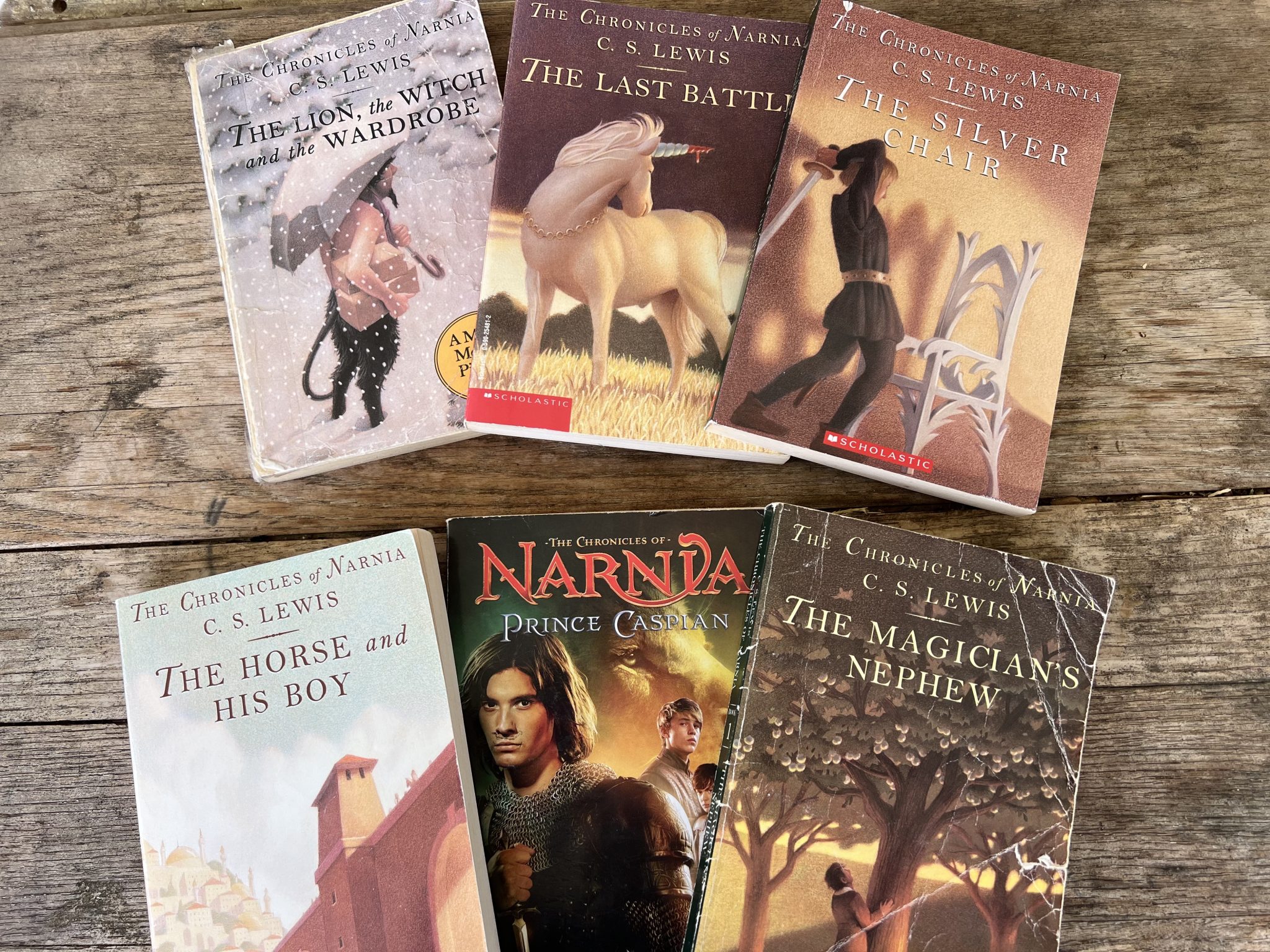 12 Excellent Christian Books For Tweens to Read - Our Life Homeschooling