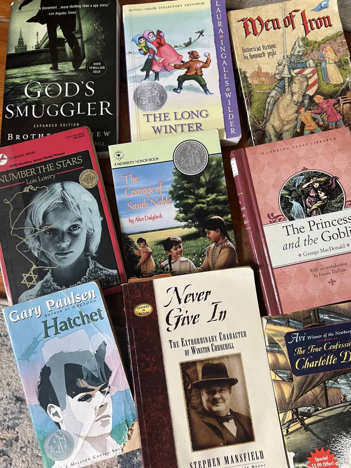 21 Great Children's Books About Courage to Read Aloud - Our Life ...