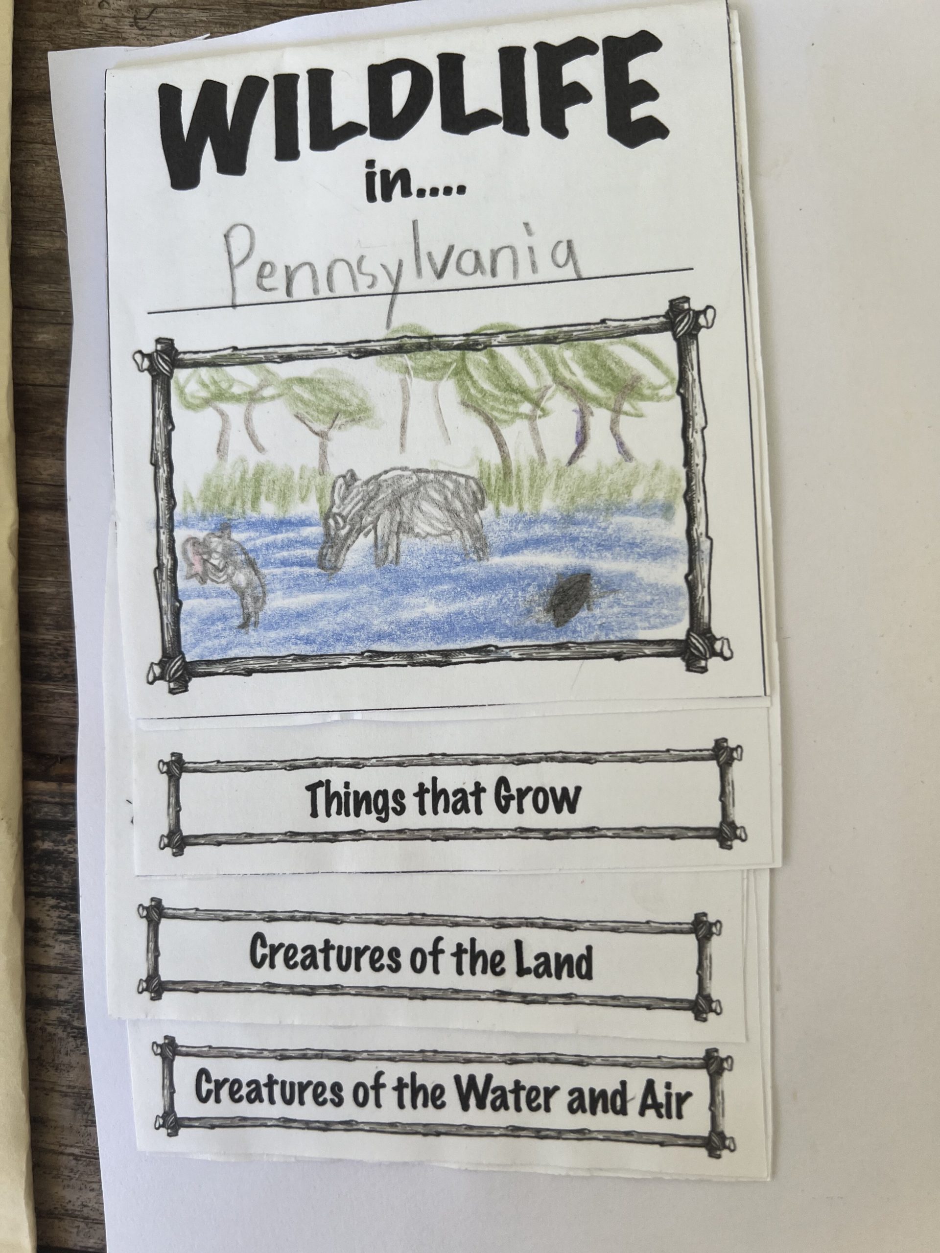 Top Pennsylvania State History Homeschool Resources - Our Life ...