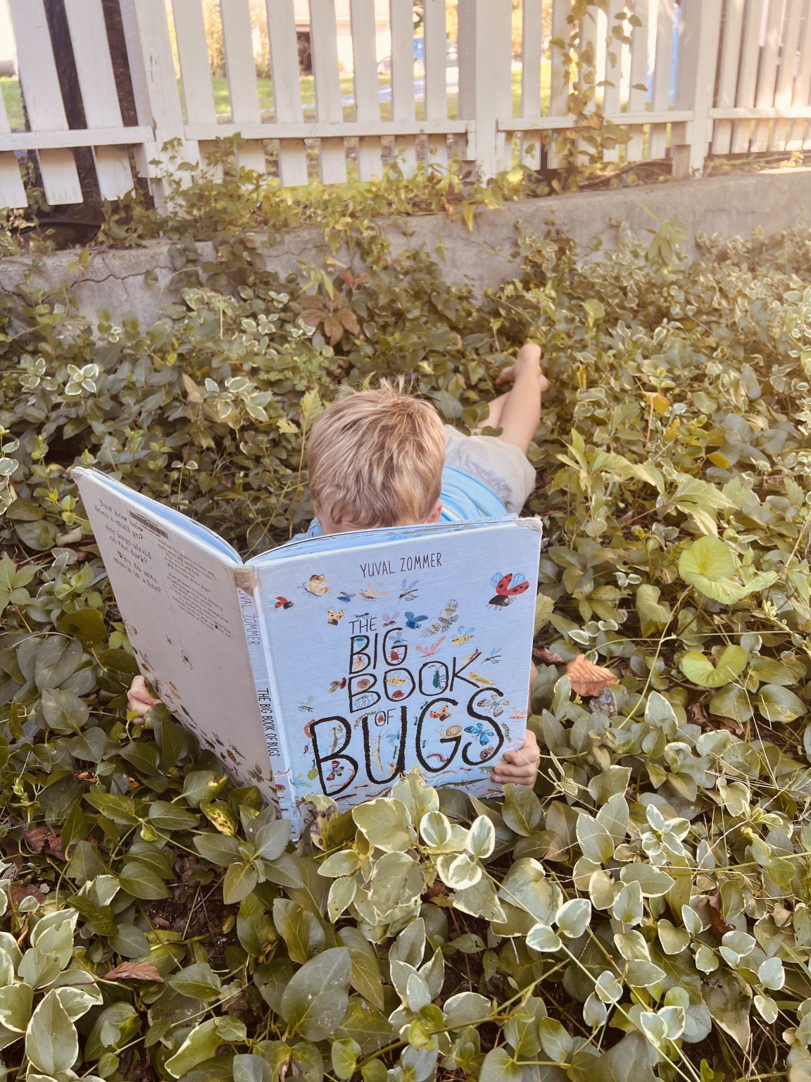 Fascinating Creepy-Crawly Bug Book List for Children - Our Life ...