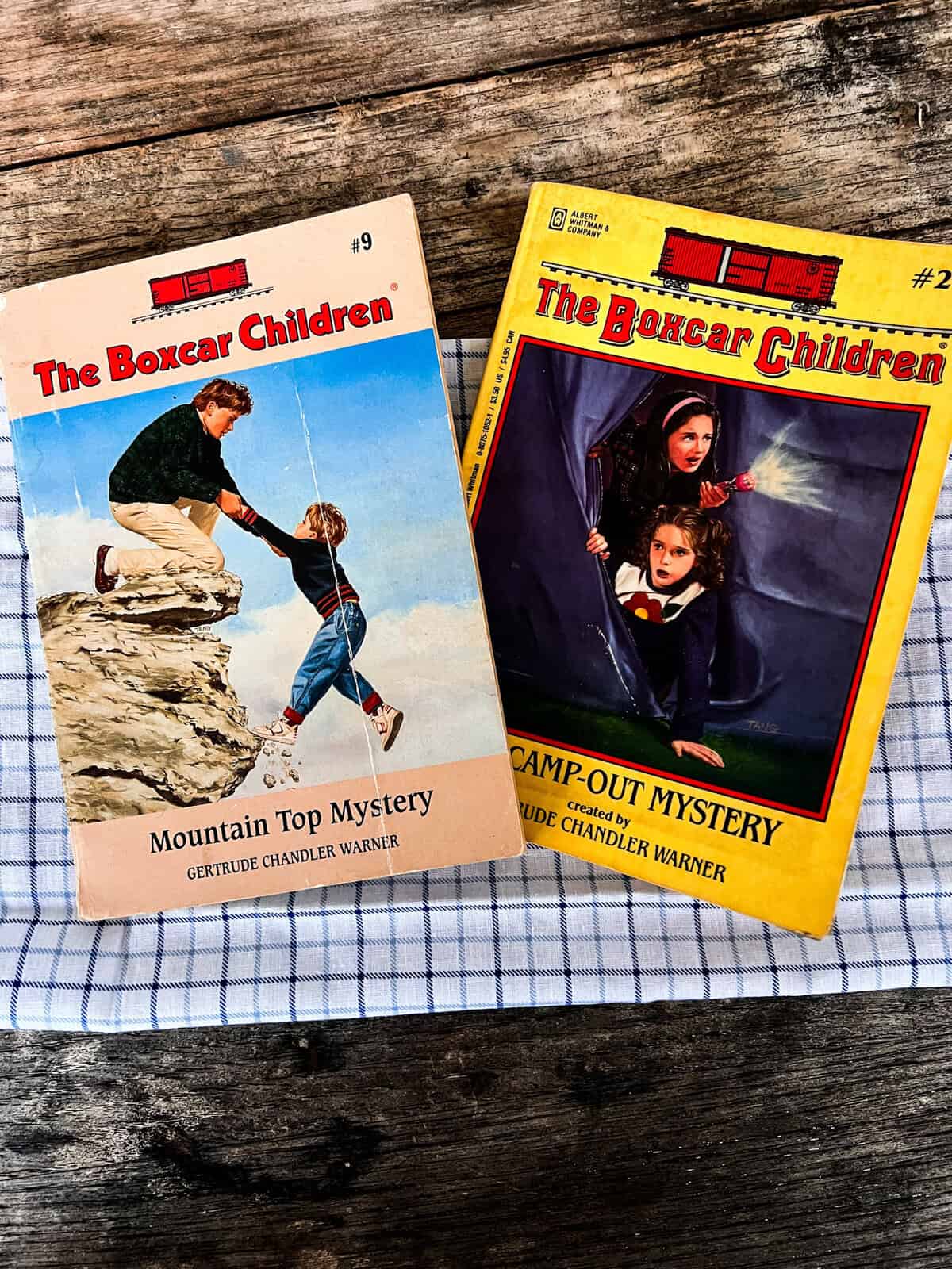 All About the Boxcar Children Mysteries Book Series - Our Life ...