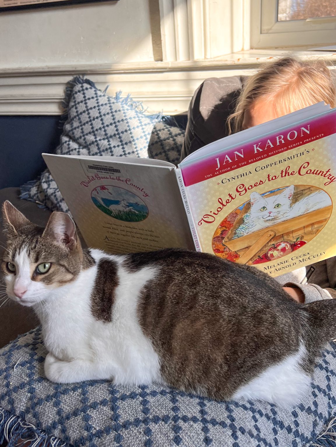 The Purr-fect Cat Books and Stories for Children - Our Life Homeschooling