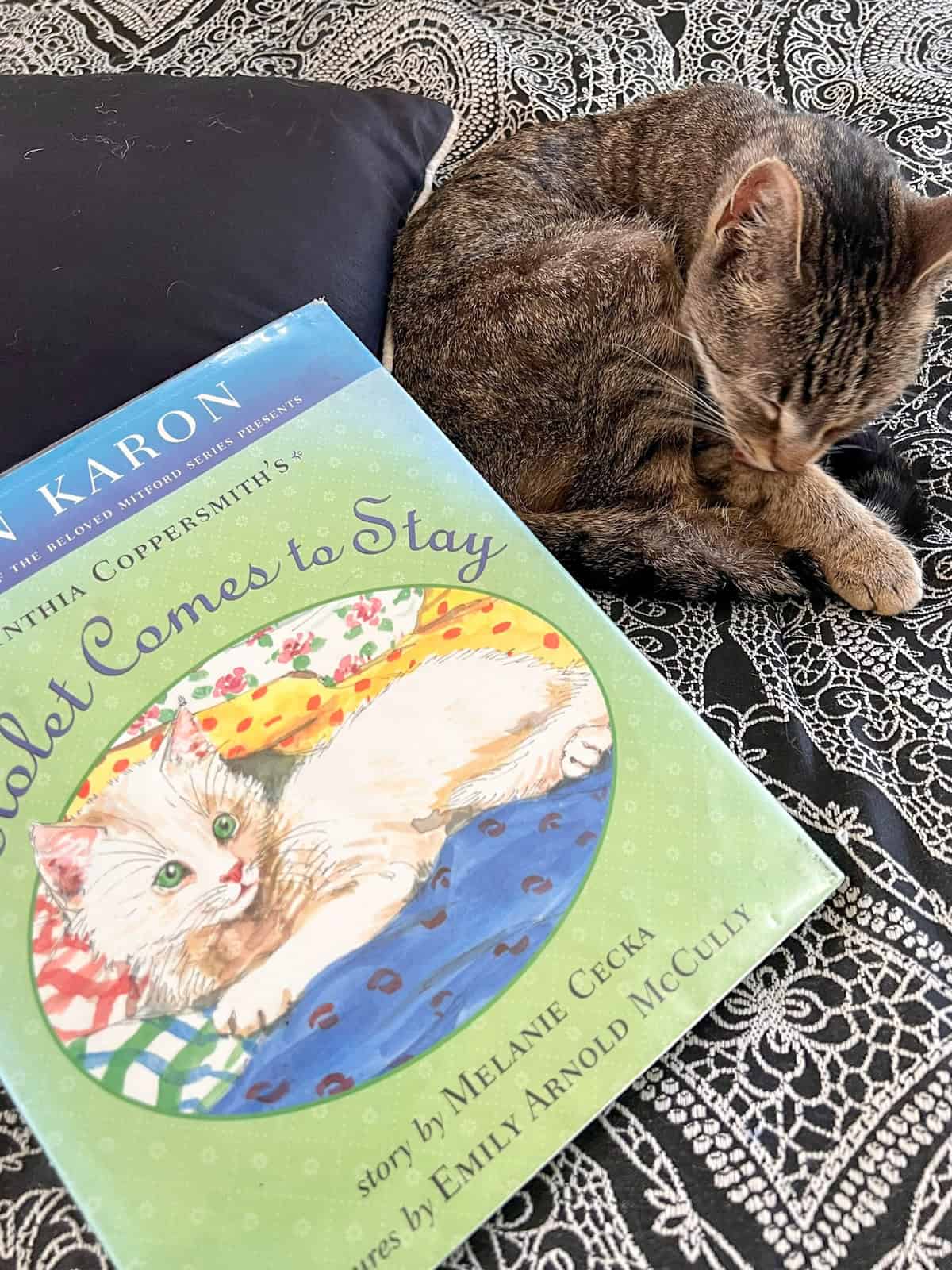The Purr-fect Cat Books and Stories for Children - Our Life Homeschooling