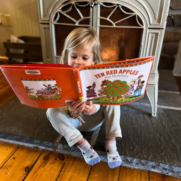 Best Counting Picture Books for Preschool Kids - Our Life Homeschooling