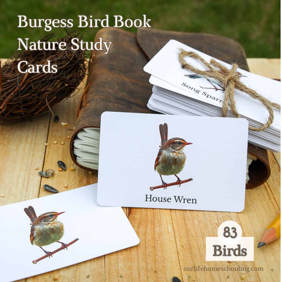 Burgess Bird Book Homeschool Nature Study Cards - Our Life Homeschooling