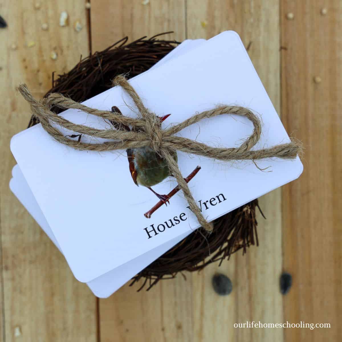 Burgess Bird Book Homeschool Nature Study Cards - Our Life Homeschooling