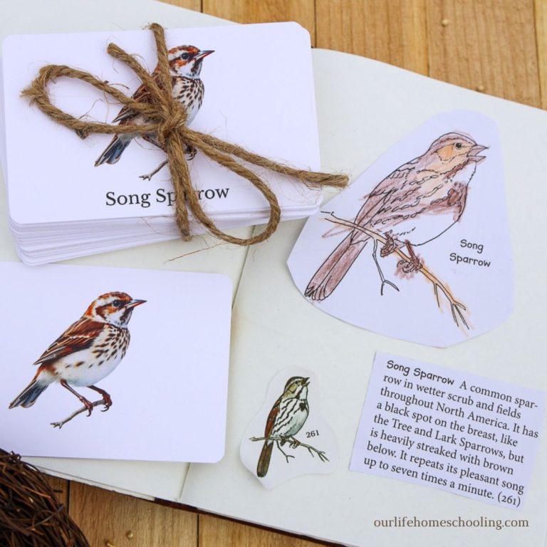 Burgess Bird Book Homeschool Nature Study Cards - Our Life Homeschooling