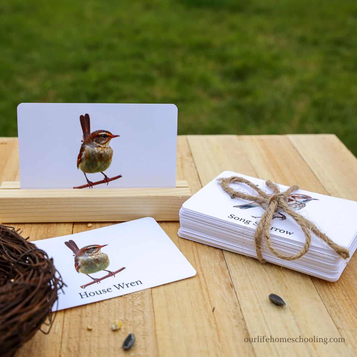 Burgess Bird Book Homeschool Nature Study Cards - Our Life Homeschooling