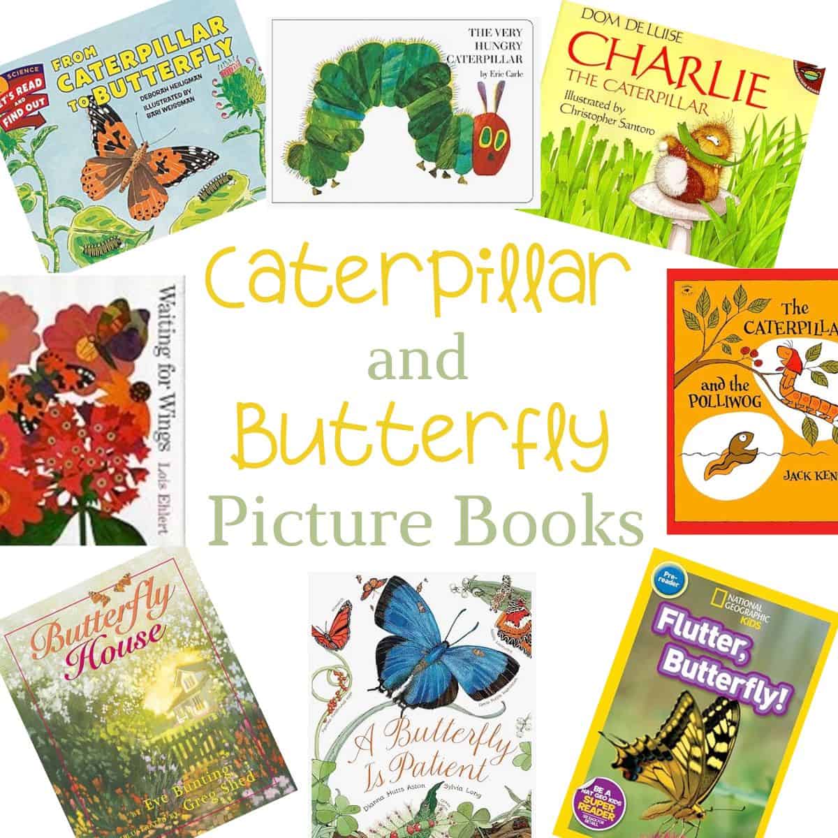 Caterpillar and Butterfly Picture Books for Kids - Our Life Homeschooling