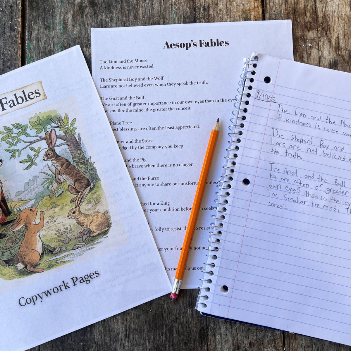 Aesop's Fables Copywork Pages (Free Printable) - Our Life Homeschooling